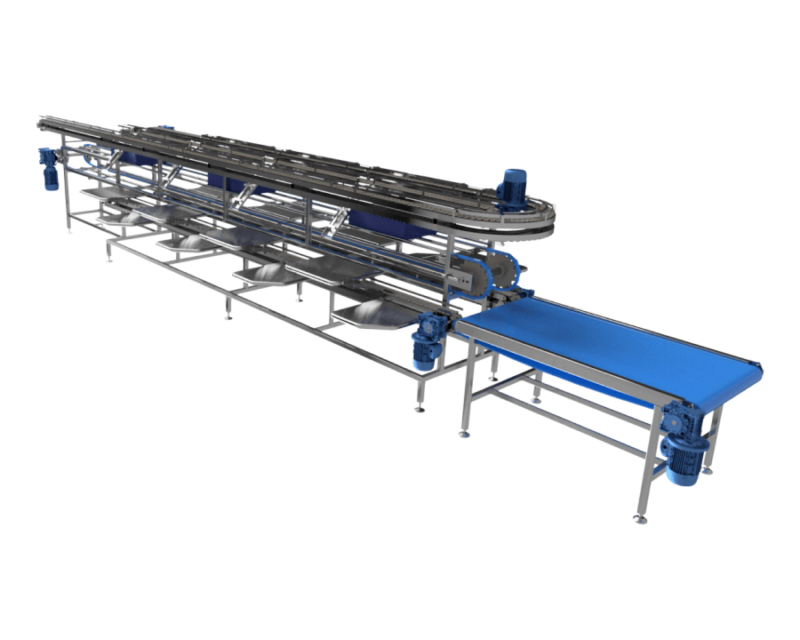 Manual packing line – Faguri